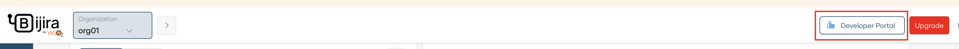 Bijira Documentation | Theme in Organizational Level